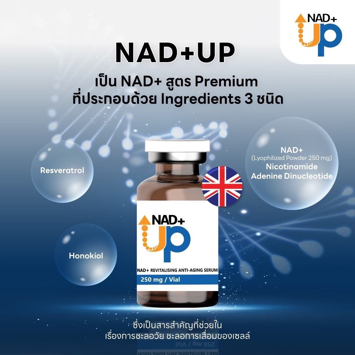 NAD+ Up 250 mg – Medical Matcher