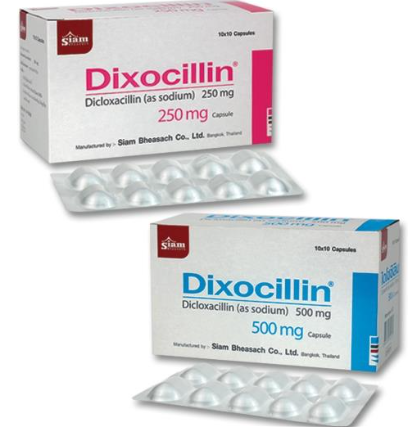 DIXALIN Dicloxacillin 500mg (bottle 500 pcs) – Medical Matcher